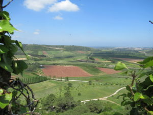 Obidos Portugal: Guide To Visiting The Medieval Village In 2025 (With A ...