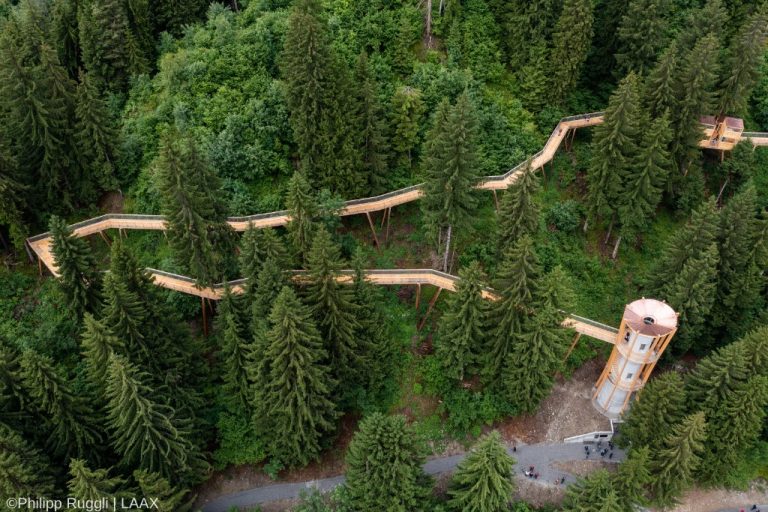 21 BEST Treetop Walks & Canopy Tours Around The World (2025) - Our ...