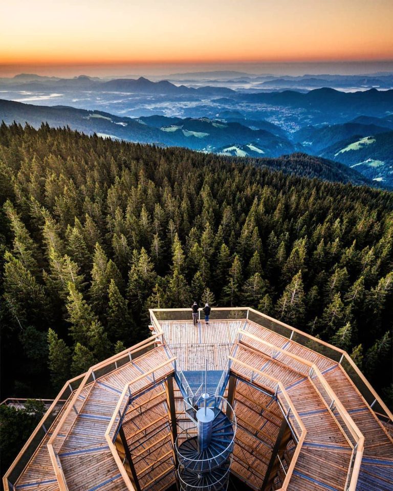 21 BEST Treetop Walks & Canopy Tours Around The World (2025) - Our ...