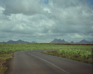 Driving In Mauritius: Expert Guide To Getting Around The Island (2024 ...