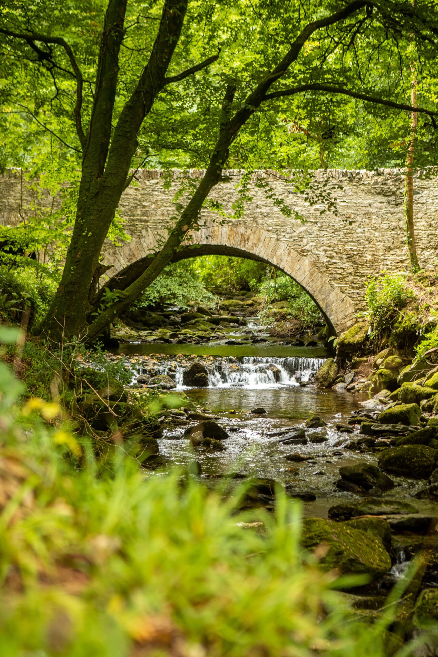 Why Is Ireland Known As The Emerald Isle? A Quick Guide For Travelers