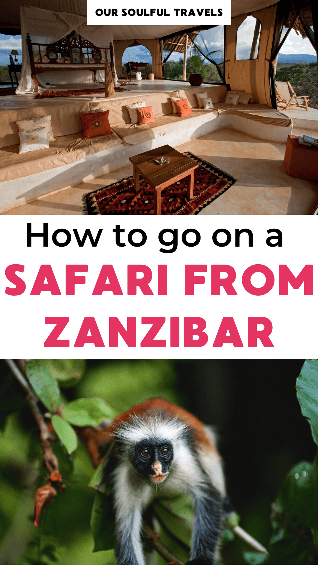 How To Go On An Incredible Safari From Zanzibar To Tanzania (2024)