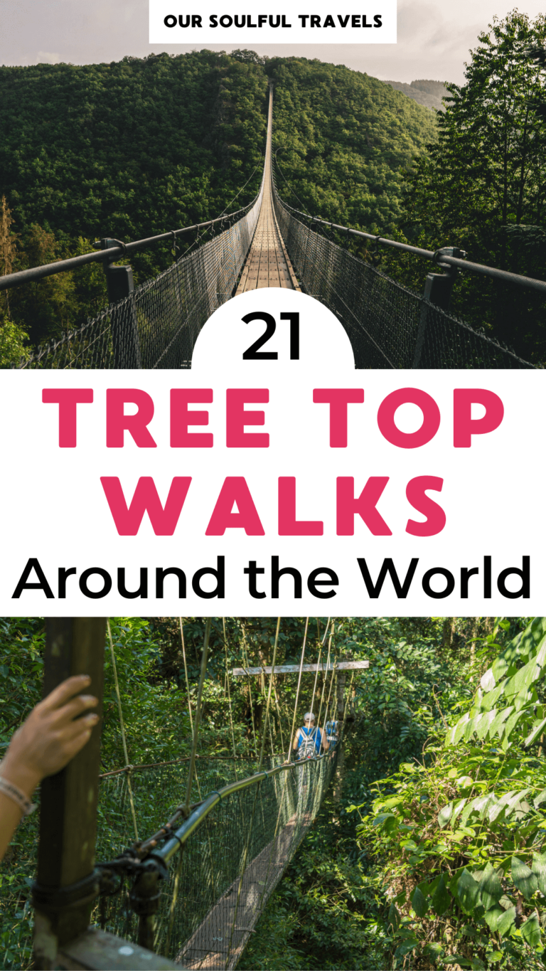 21 BEST Treetop Walks & Canopy Tours Around The World (2025) - Our ...
